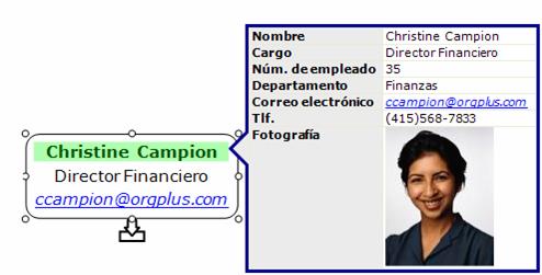 Caracteristicas de OrgPlus
