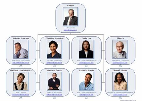 Caracteristicas de OrgPlus