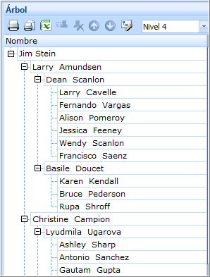 Caracteristicas de OrgPlus